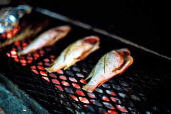 Belizian Food, Drink & Dessert Guide