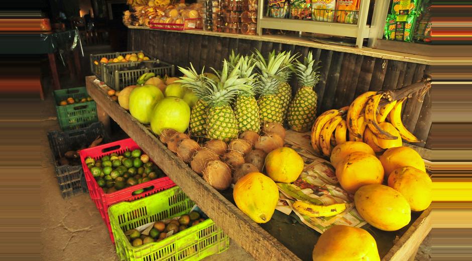 Costa Rican Food, Drink & Desert Guide