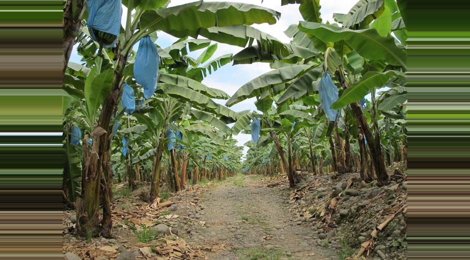 Costa Rica History - Early Inhabitants to Colonization