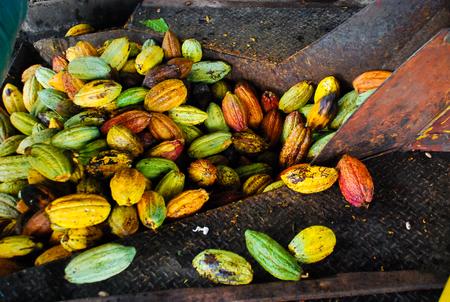 Costa Rica History - Early Inhabitants to Colonization