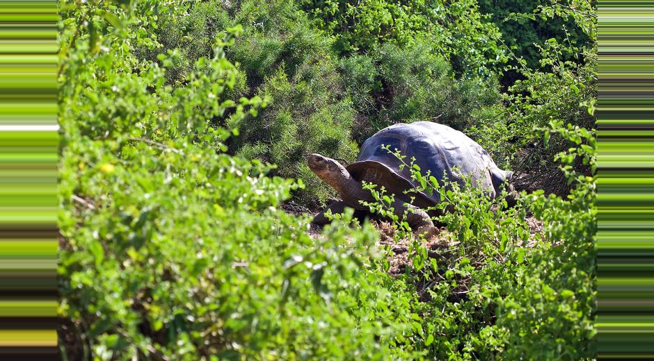 Ecuador Environmental Issues & Resource Extraction
